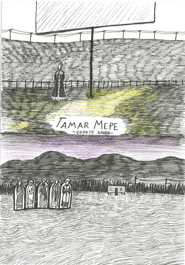Tamar Mepe: a folk comic by Coyote Shook - Tampa Review